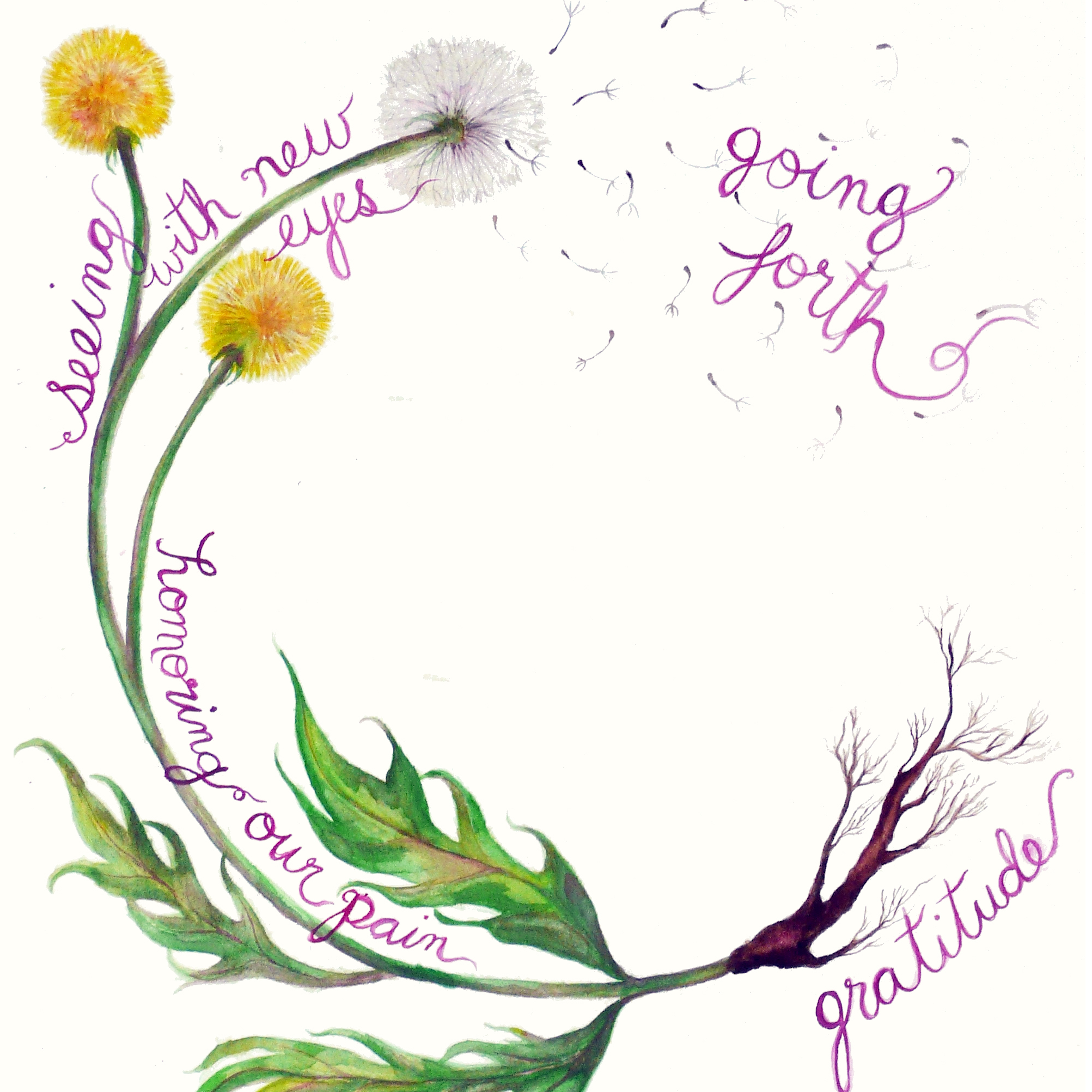 Luteal Moon Tea & Seasons of the Menstrual Cycle - First Curve Apothecary