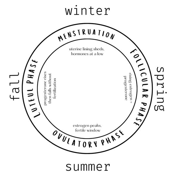 Luteal Moon Tea & Seasons of the Menstrual Cycle - First Curve Apothecary